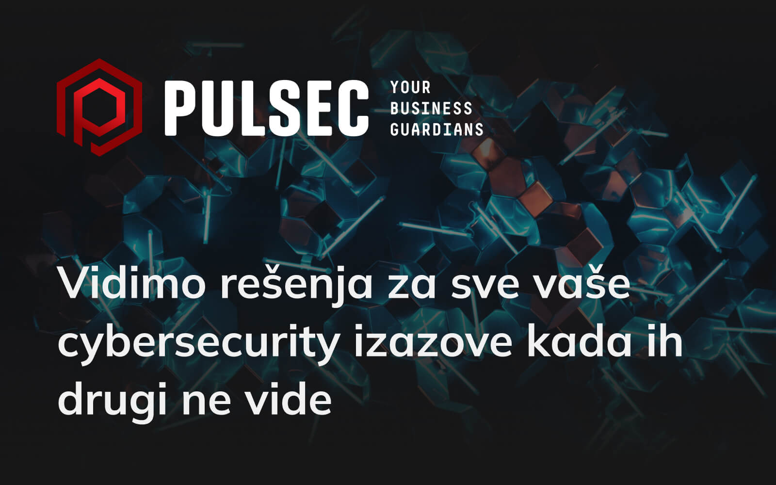 PULSEC - YOUR BUSINESS GUARDIANS
